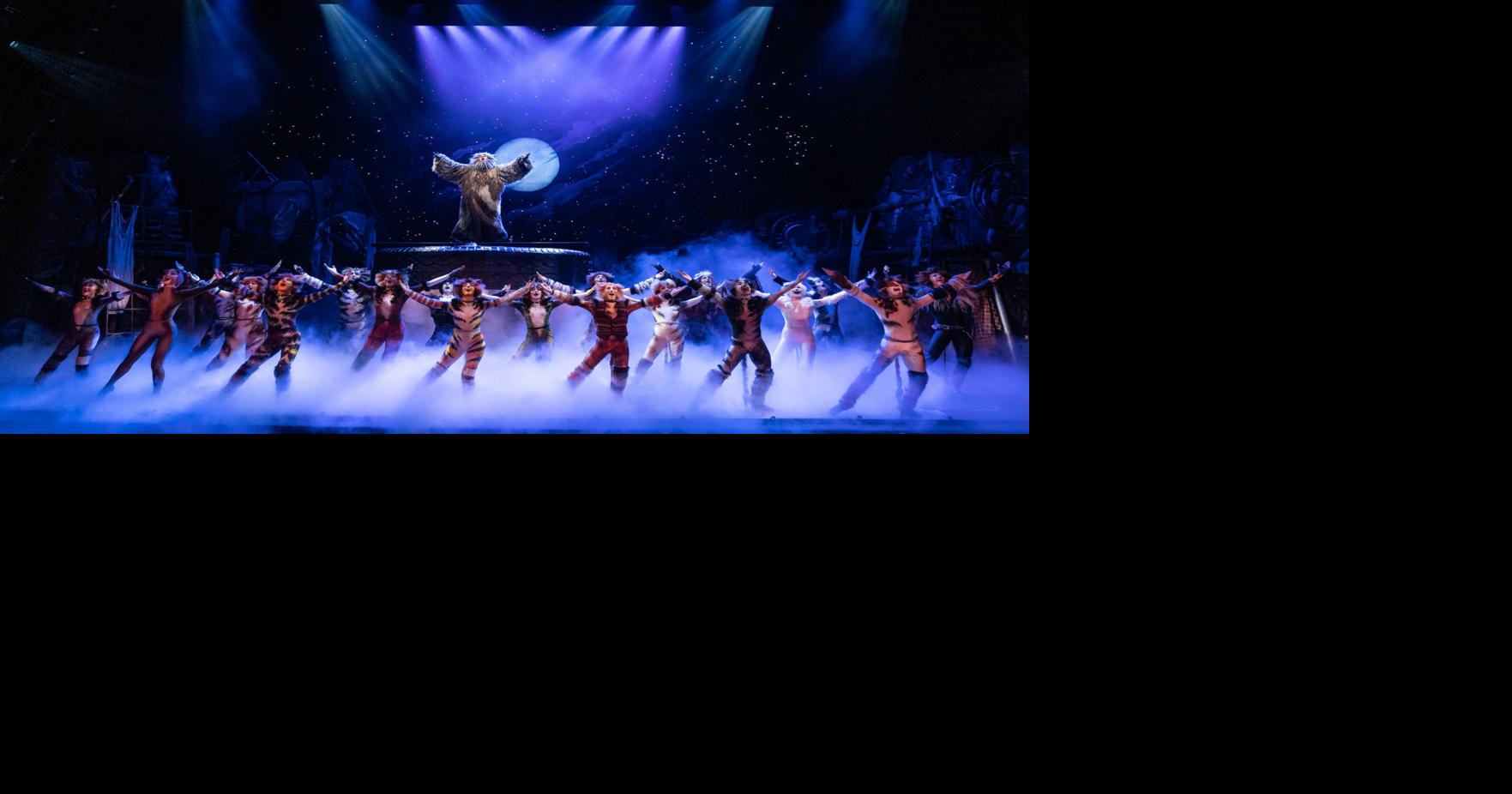 Philly native brings famed 'Cats' to Miller Theater with feline fun ...