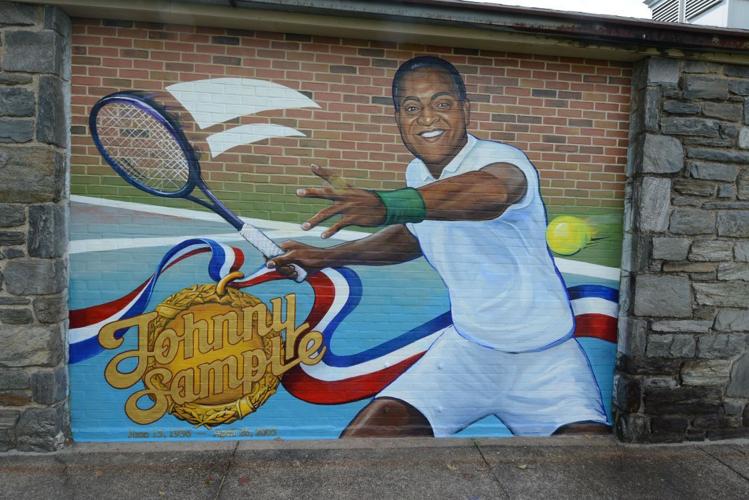 Cobbs Creek mural illustrates talent of Johnny Sample | Sports ...