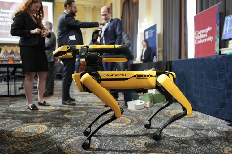 US robotics companies push for national strategy, including a central ...