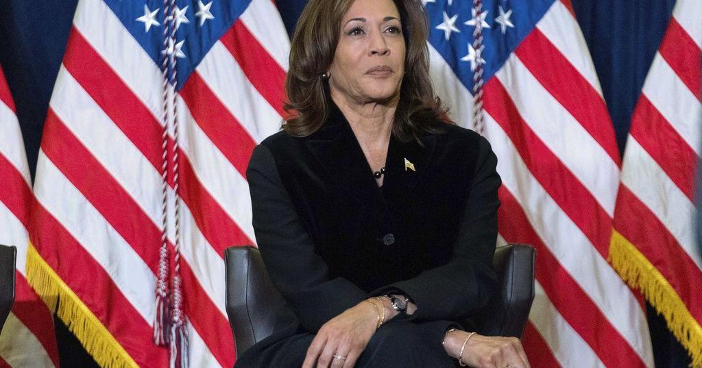 Democrats face five key leadership contests in 2025 | Commentary ...