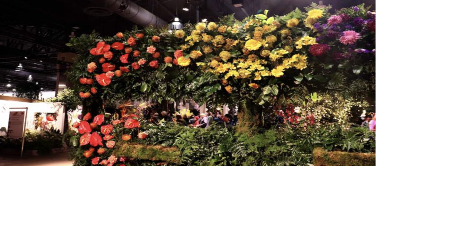 Black Girls Florist makes history at Philly Flower Show | Lifestyle ...