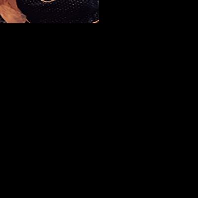 Doris D. Drayton, 87, longtime educator | Obituaries | phillytrib.com