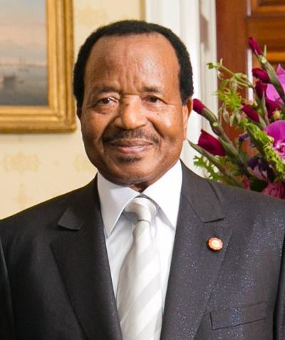 Boko Haram has been repelled, Cameroon's leader declares | News ...