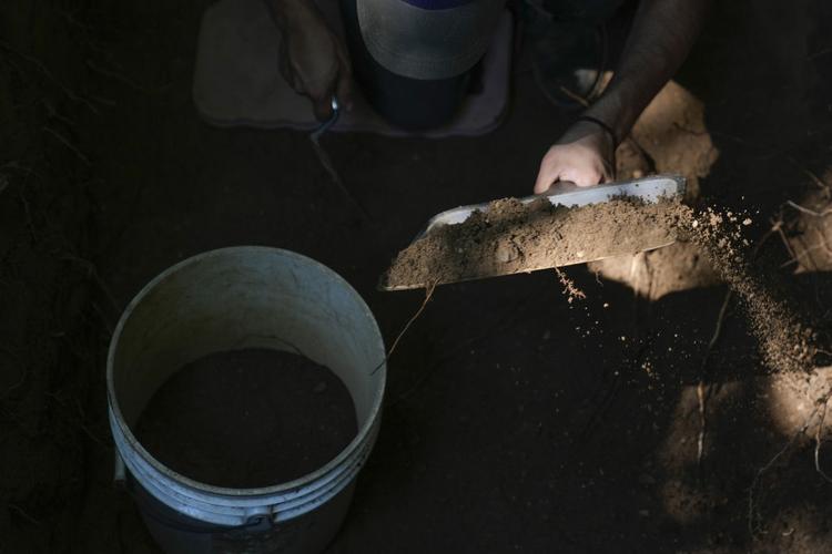 A centuries-old cemetery for people who were enslaved is reclaimed in ...