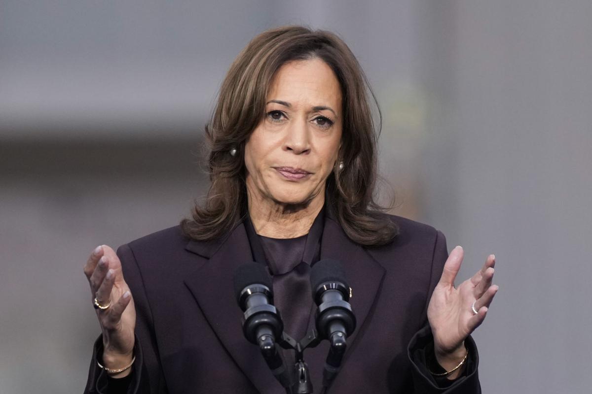 Disputed Democratic autopsy of 2024 loss says White House failed Harris ...