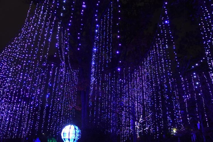LumiNature shines bright at the Philadelphia Zoo for the holidays ...