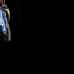 Sharon Marley continues family's musical legacy at City Winery | Music ...