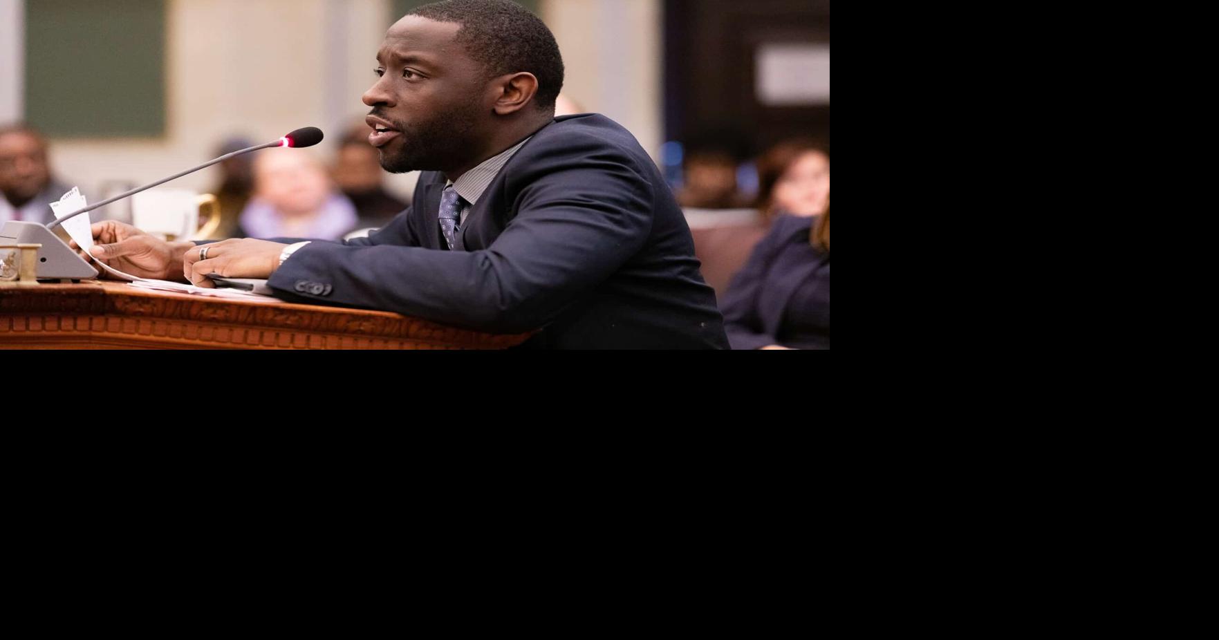 Council committee advances two potential referendum questions for ...
