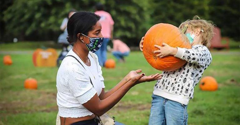 Pumpkin patch guide: 12 places near Philly to pick your own, take ...