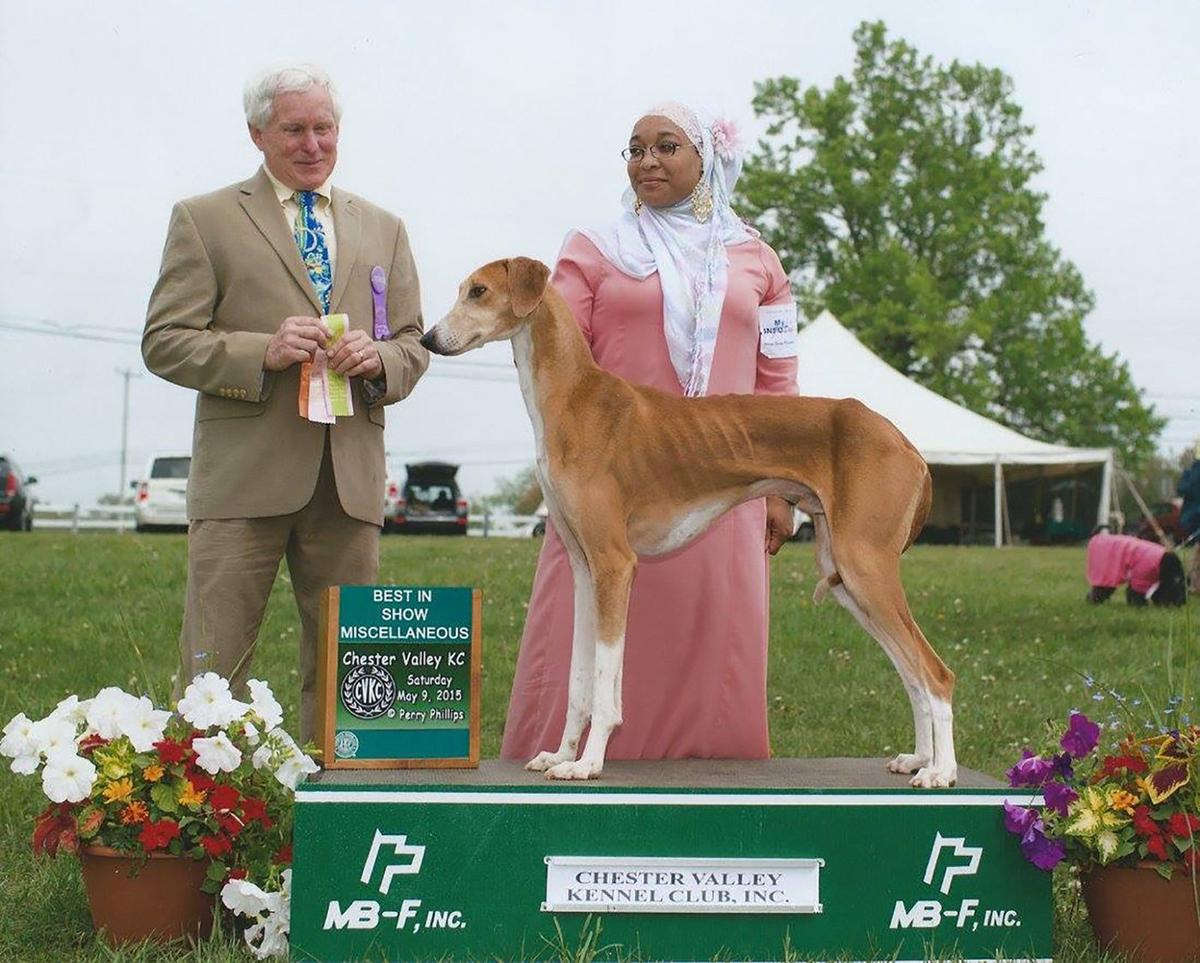 A breed apart: Former Philly cop helps raise rare dogs | Lifestyle ... A breed apart: Former Philly cop helps raise rare dogs | Lifestyle ...