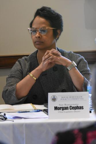 Pa. House panel hears first hand about maternal mortality | Health ...