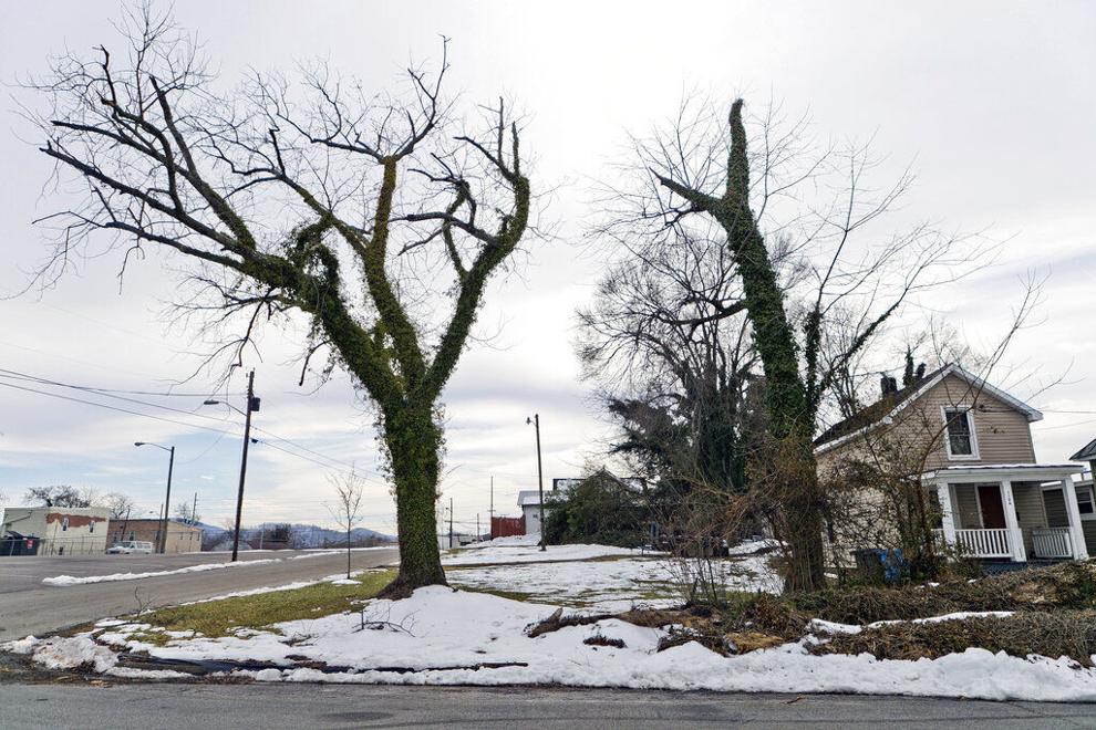 Lost to history, Virginia home of Henrietta Lacks demolished ...
