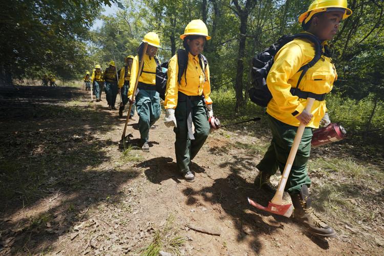 US Forest Service and historically Black colleges unite to boost ...