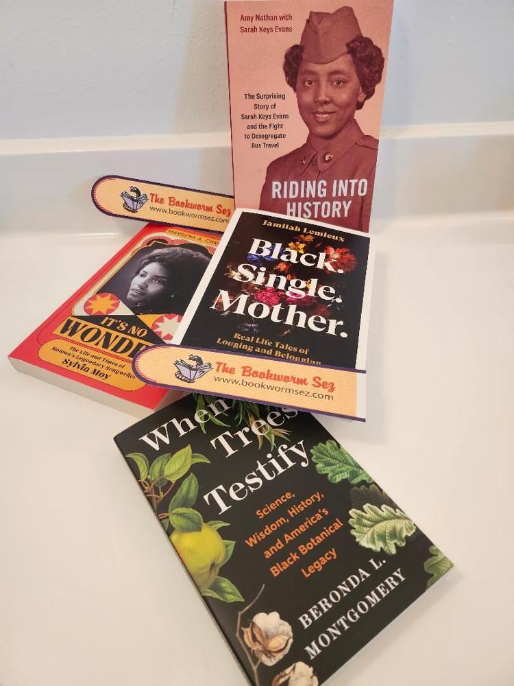 Book Review: Read these books to help celebrate (Black) Women's History ...