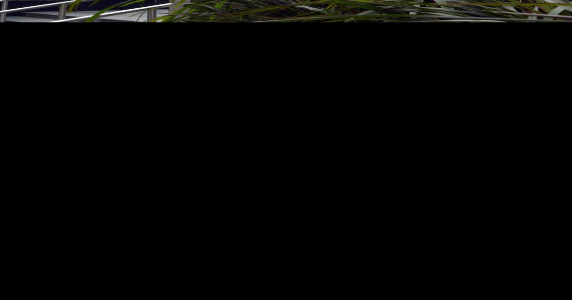 Comcast seeks proposals for African-American-owned independent networks ...