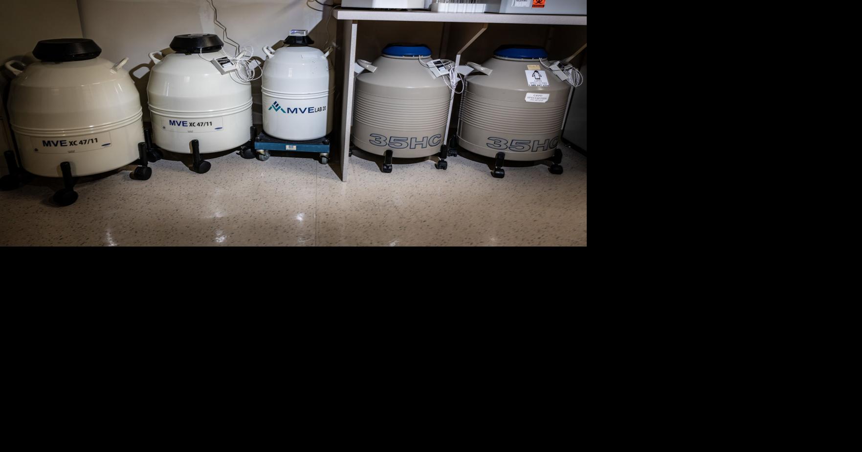Alabama IVF ruling draws attention to technology’s unregulated ...