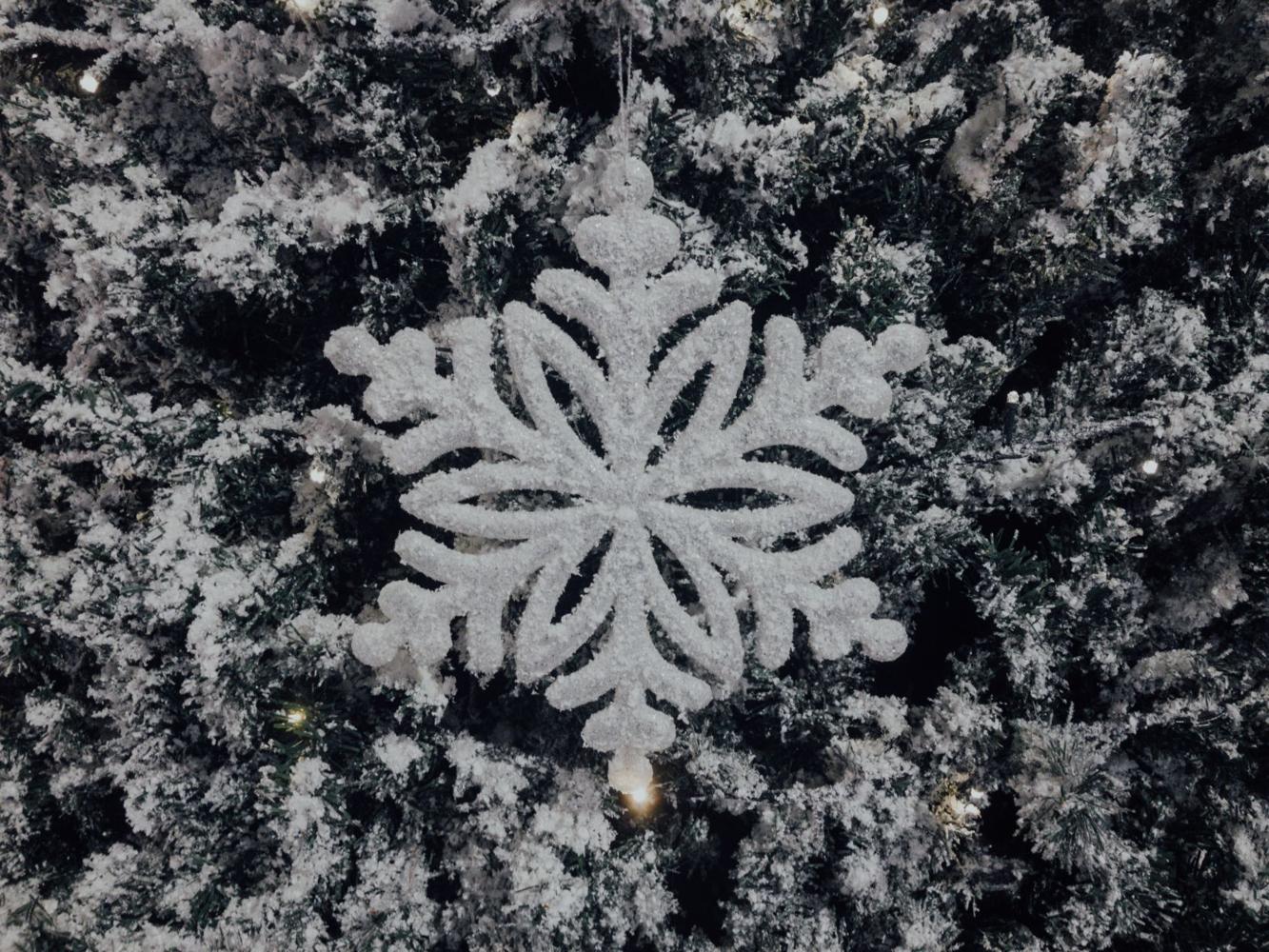 Did You Know: Facts about snowflakes | The Learning Key | phillytrib.com