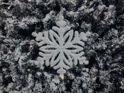 real snowflake designs