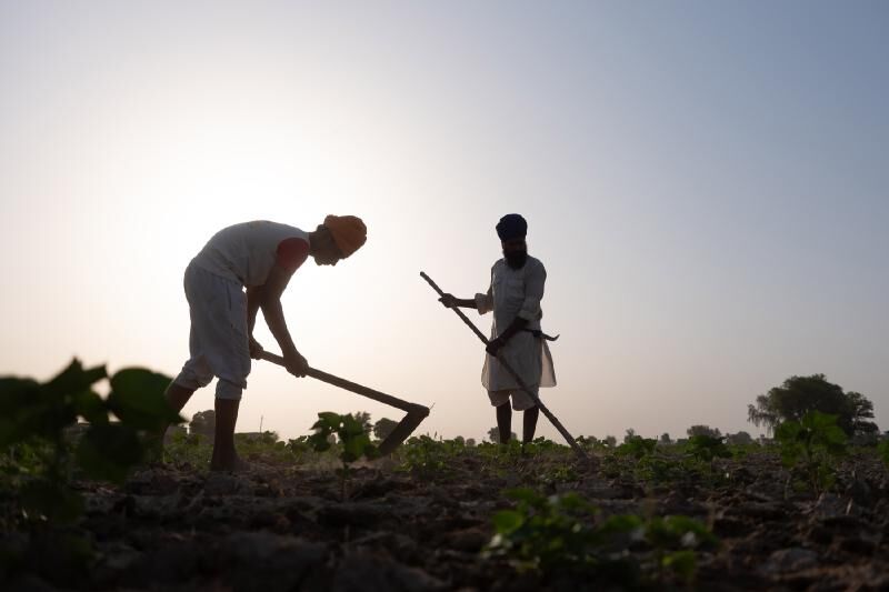 How the Hottest Place in India Survives | Nyt | phillytrib.com