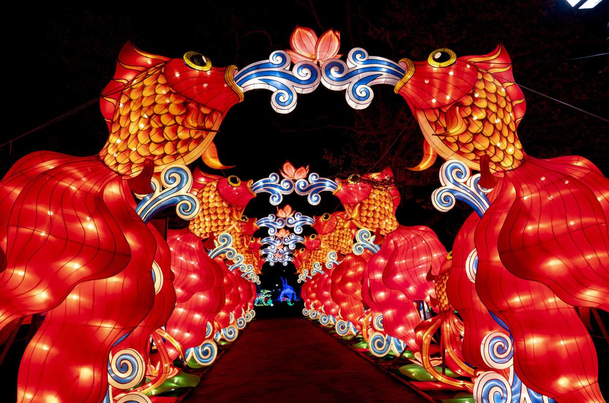 Chinese Lantern Festival Returns To Franklin Square Lifestyle chinese-lantern-festival-returns-to-franklin-square-lifestyle