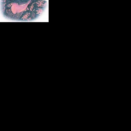 Michele Mathis, 49, former secretary | Obituaries | phillytrib.com