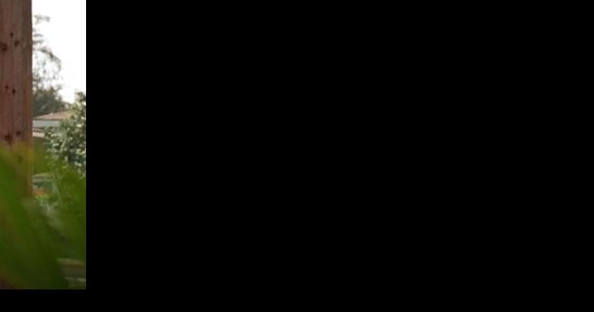 Anthony Johnson, 'Friday' actor and comedian, has died | Obituaries ...
