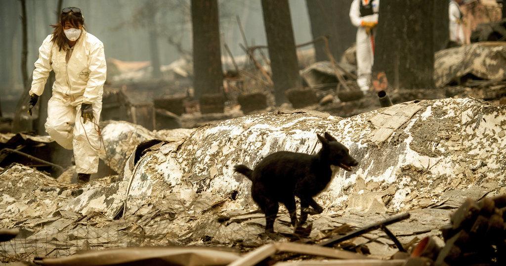 Northern California fire death toll at 56; 130 missing | News ...