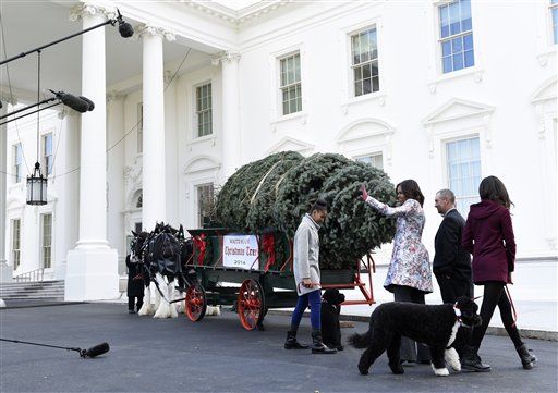 Official Christmas tree arrives at White House | News | phillytrib.com