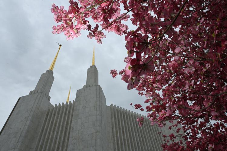 Major Mormon temple opens doors to celebrate rededication ...