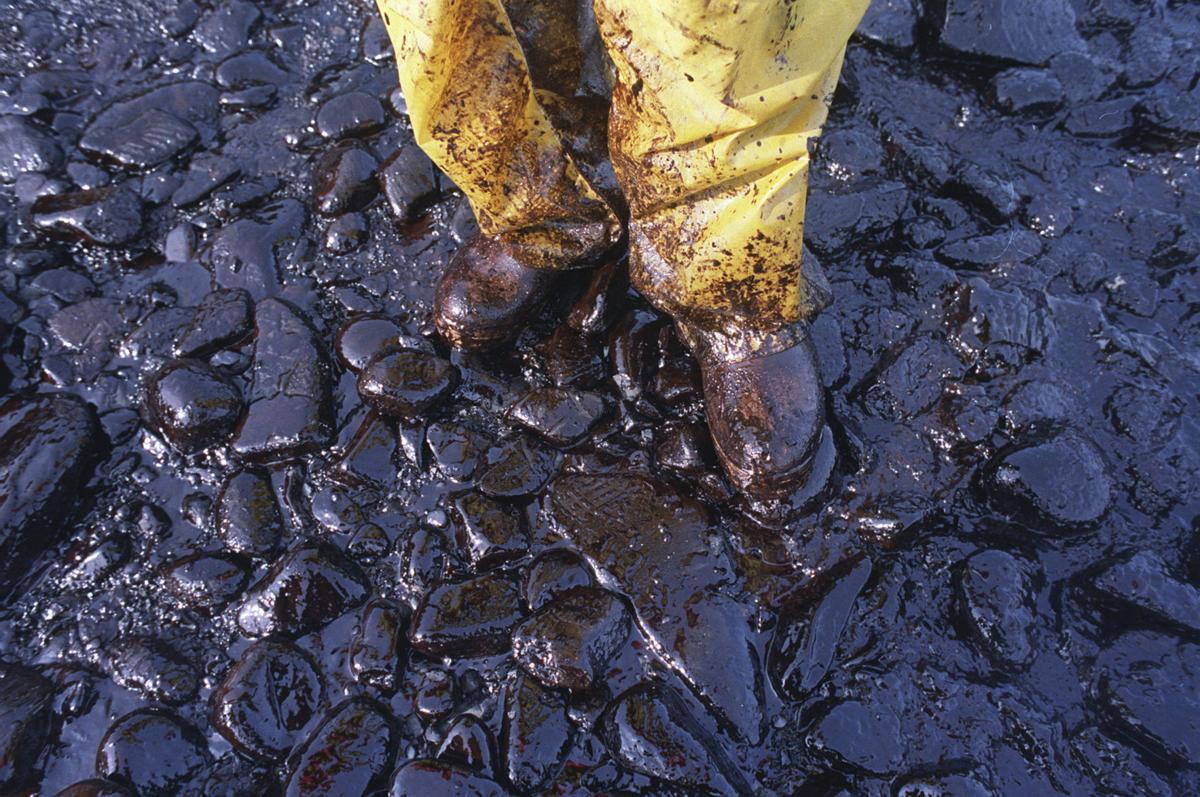 PHOTOS: Exxon Valdez oil spill inflicted lasting wounds | Multimedia ...