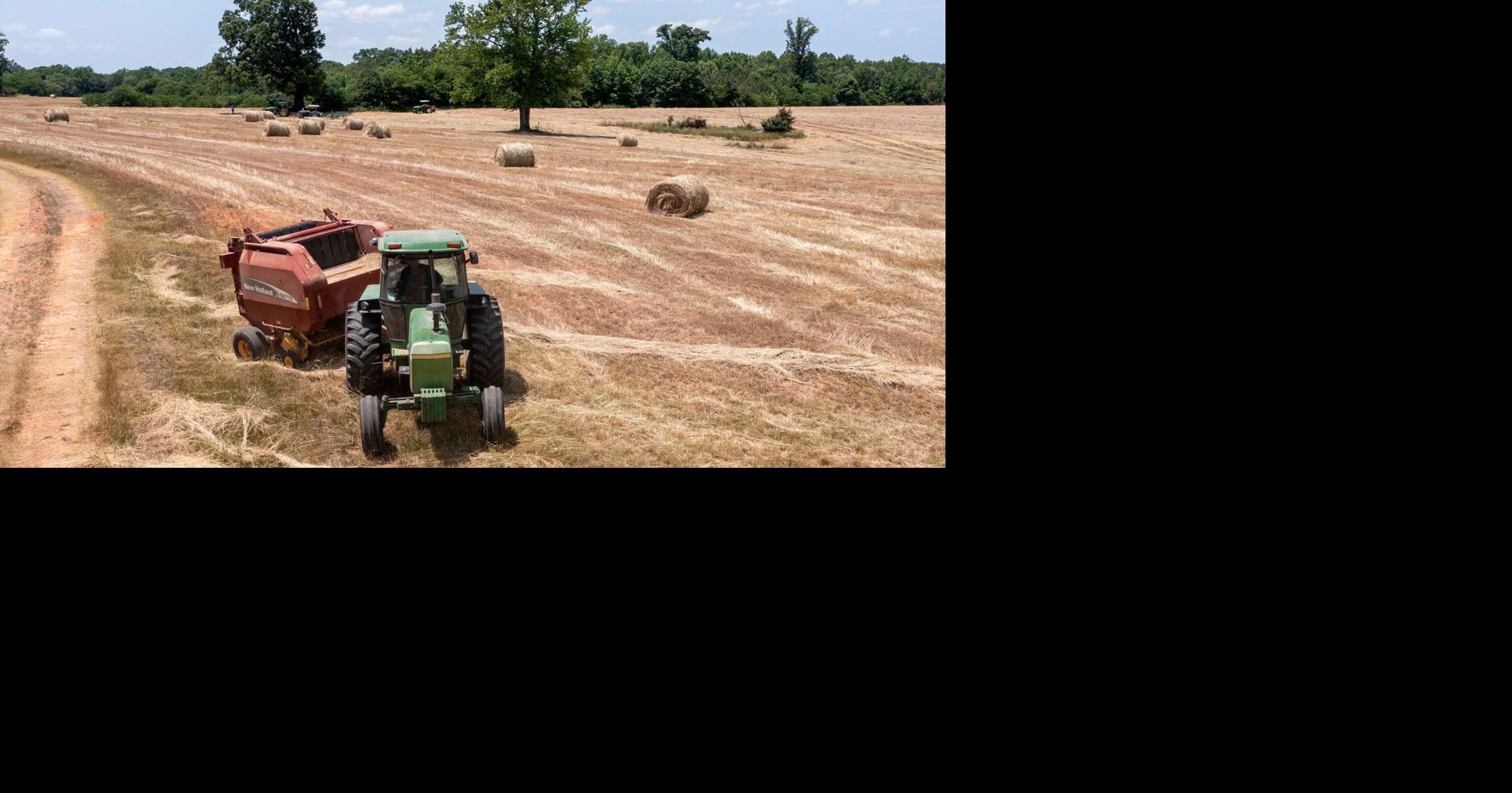 USDA begins accepting discrimination relief applications from farmers ...