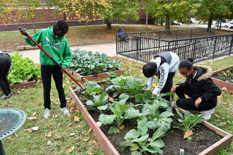 Penrose's programs create well-rounded students | The Learning Key ...