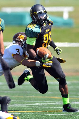 Local prospects for the NFL draft | Sports | phillytrib.com