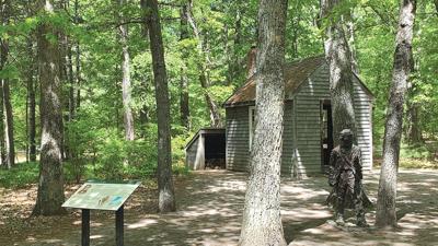 The Richest Pleasures: At Walden Pond in Thoreau’s footsteps | News ...