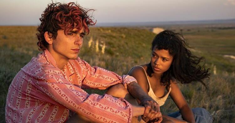 Review: Cannibal romance ‘Bones and All’ finds beauty in darkness ...