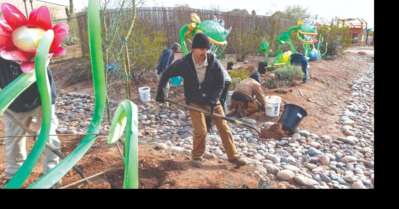 Paint the Town Green: Arizona Super Bowl Host Committee strives to make an impact | Special ...