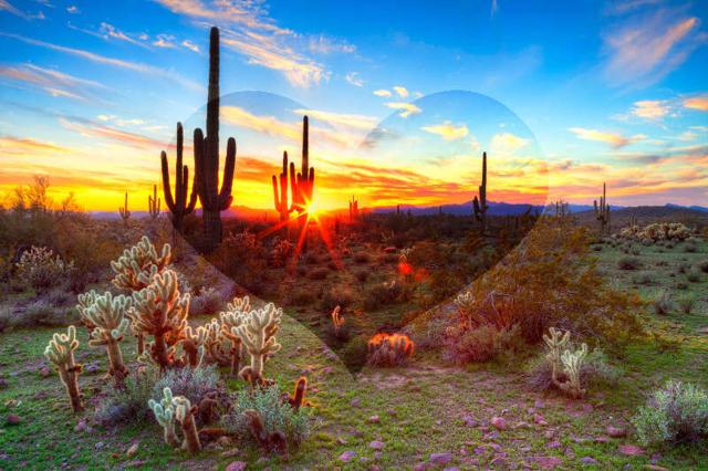 My Valley Valentine: 14 things we love about Phoenix | Attractions ...