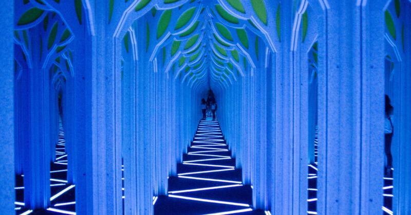 mirror maze hours