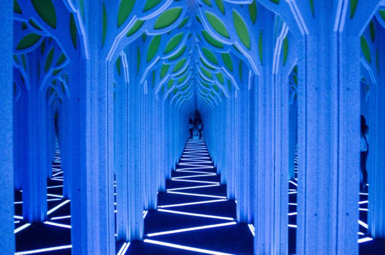 Arizona Science Center’s interactive “Mirror Maze” exhibit now open ...