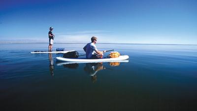 Reigning Supreme: Water is life at Salton Sea State Recreation Area ...
