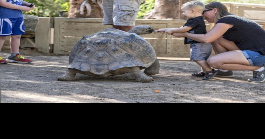 Our favorite animal encounters in Arizona | Attractions | phoenix.org
