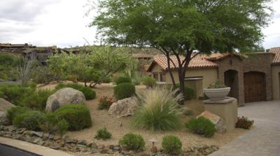 6 Tips for A Luscious Phoenix Lawn | Phoenix Real Estate | phoenix.org