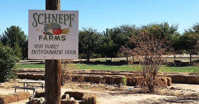 Schnepf Farms | Family Outings | phoenix.org