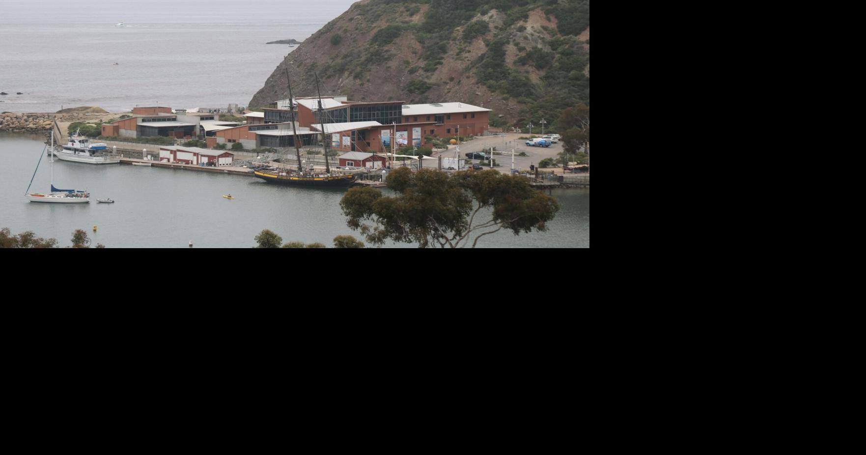 Ocean Institute Named Beneficiary of SpongeBob Clothing Line ...