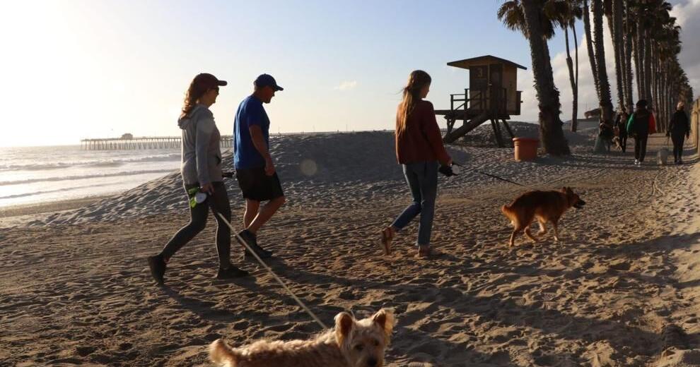 San Gorgonio Park Preferred Site for Off-Leash Dog Park | Eye on SC ...