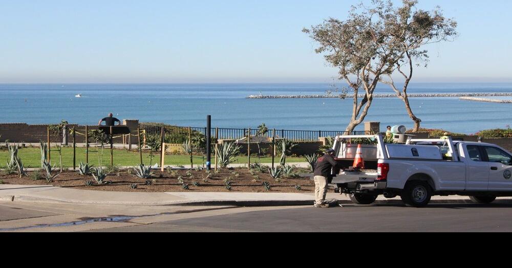 Changes Coming to Louise Leydon Park | | picketfencemedia.com