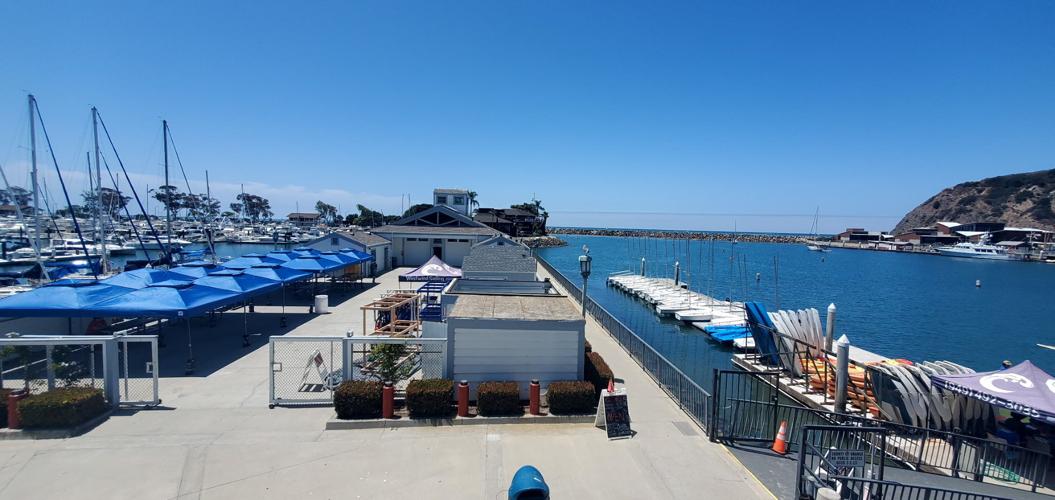 Rip Curl Dana Point