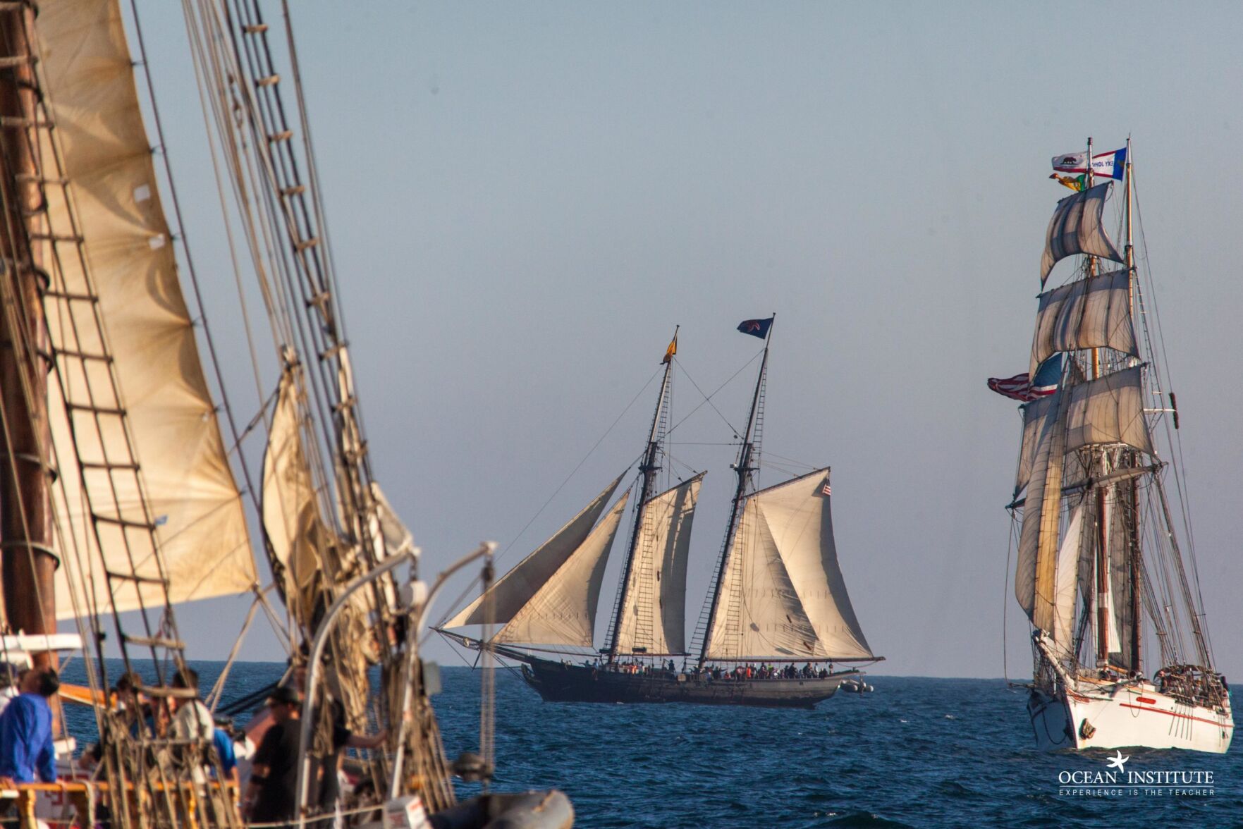 Ocean Institute Celebrates 40 Years of Maritime Festival | Eye on DP ...