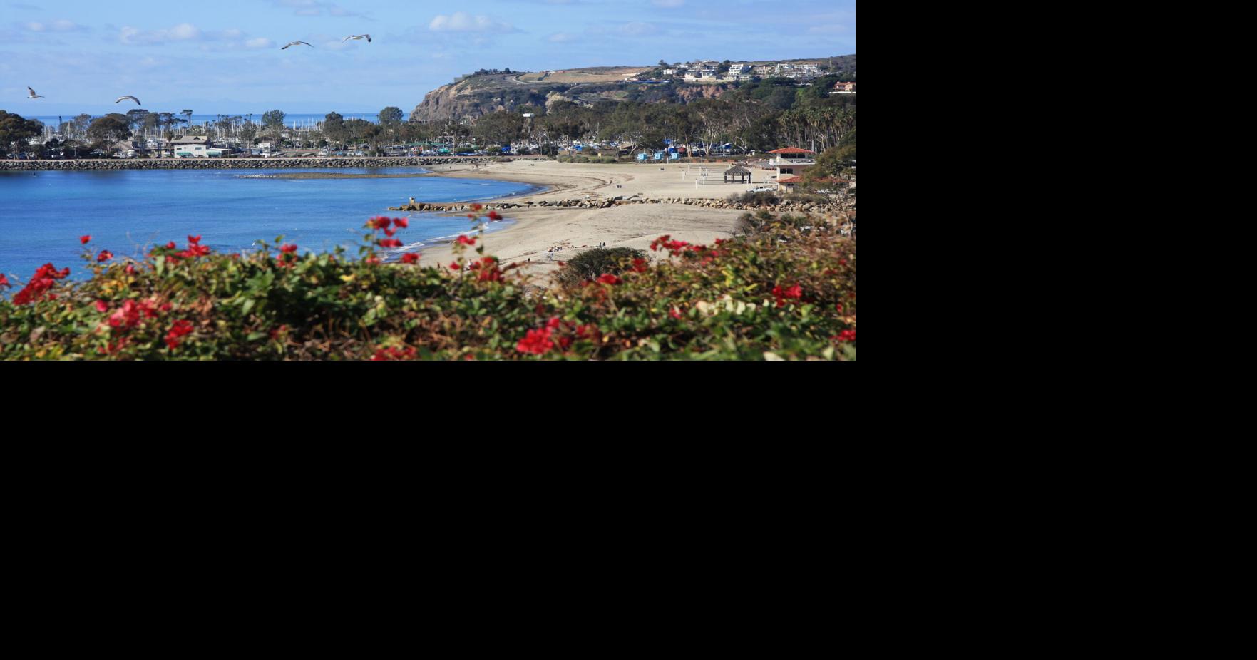 VFW Dana Point Post 9934 Flag Retirement Ceremony at Capistrano Beach ...