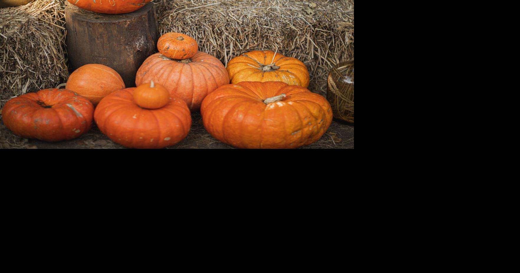 Autumnal Activities, Events Kick off in South Orange County ...